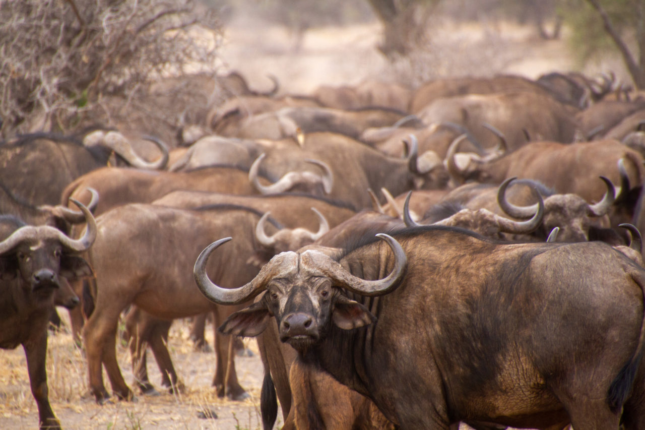 Discovery Tours | Operation Bootstrap Africa