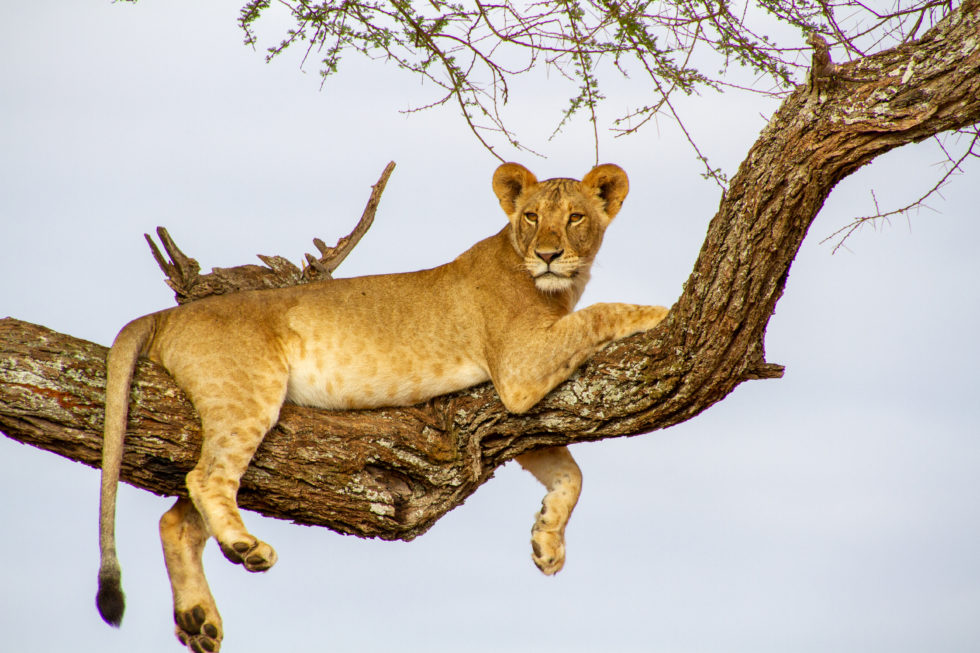 Discovery Tours | Operation Bootstrap Africa