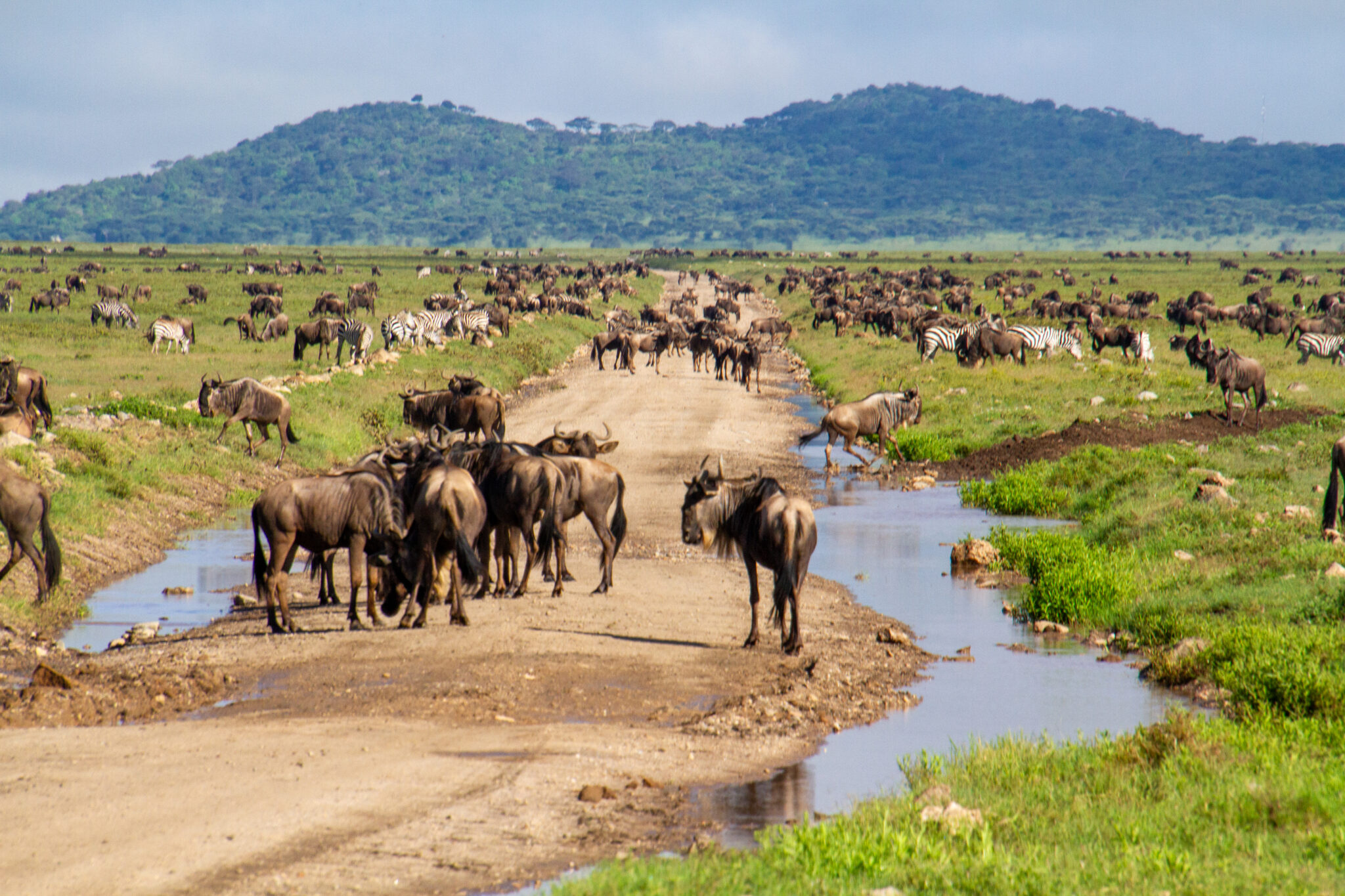 Discovery Tours | Operation Bootstrap Africa