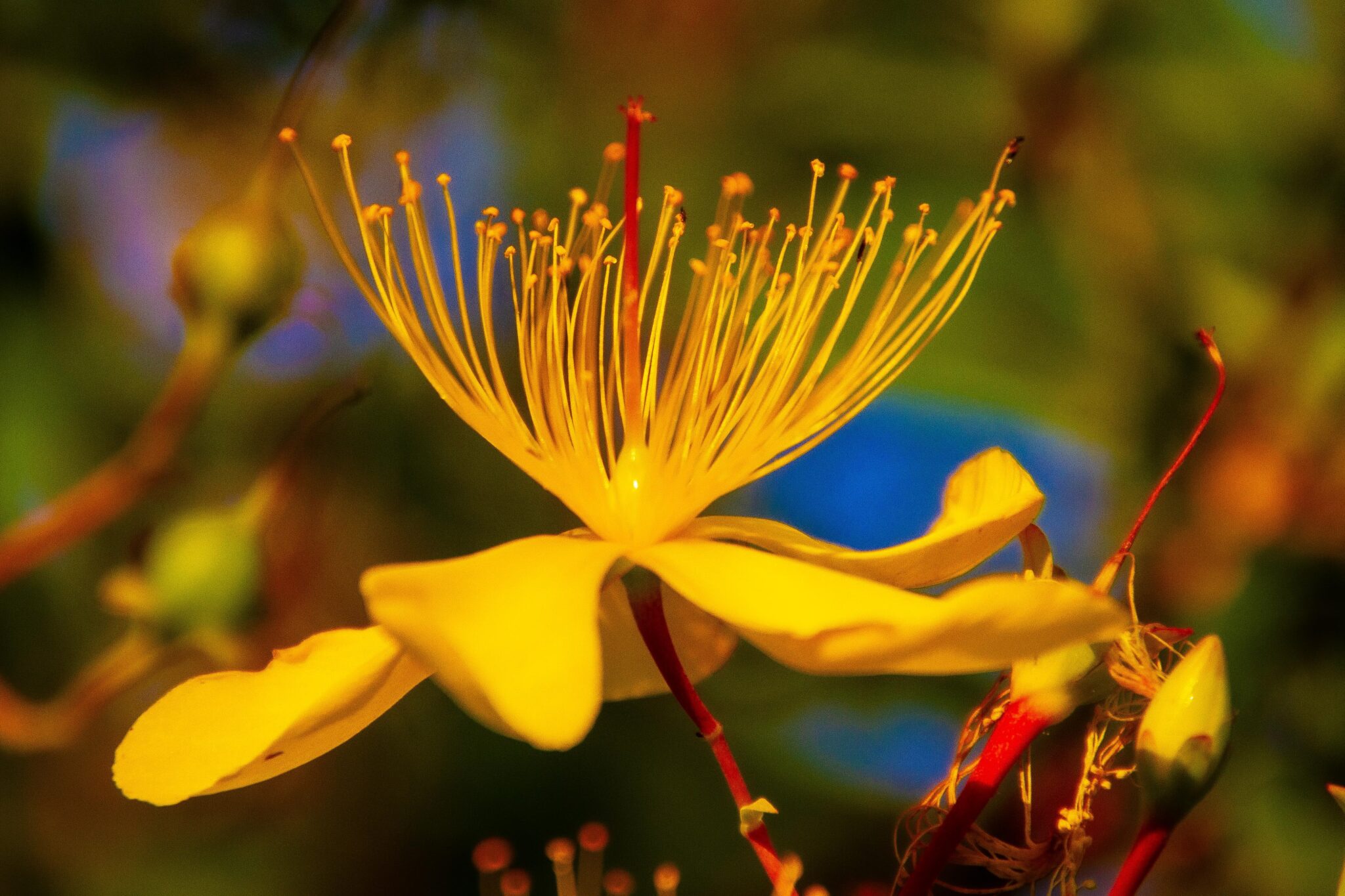 Discovery Tours | Operation Bootstrap Africa